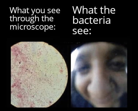 Best Funny microscope Memes - 9GAG