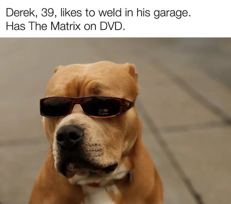 Best Funny the matrix Memes - 9GAG