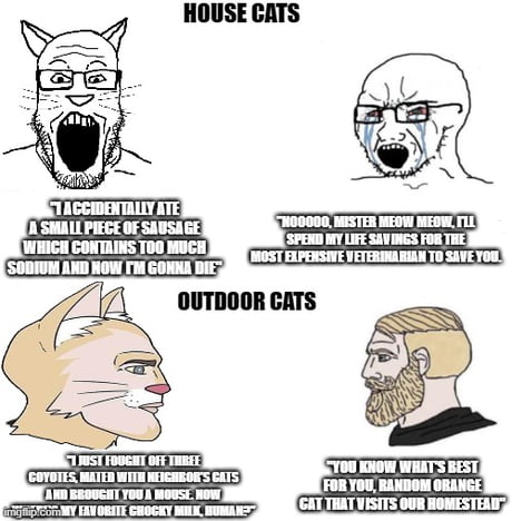 Most Random Picture On The Internet 9gag