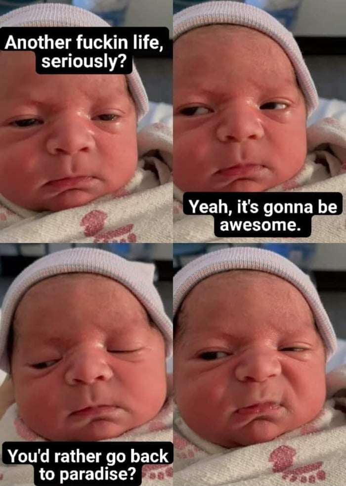 Reincarnation - 9GAG