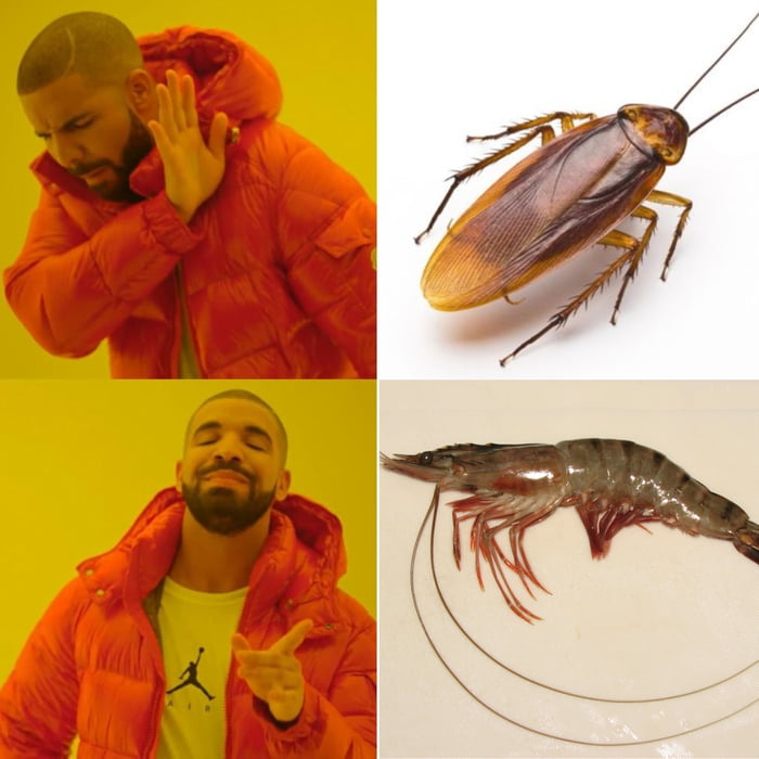 Same same but different - 9GAG