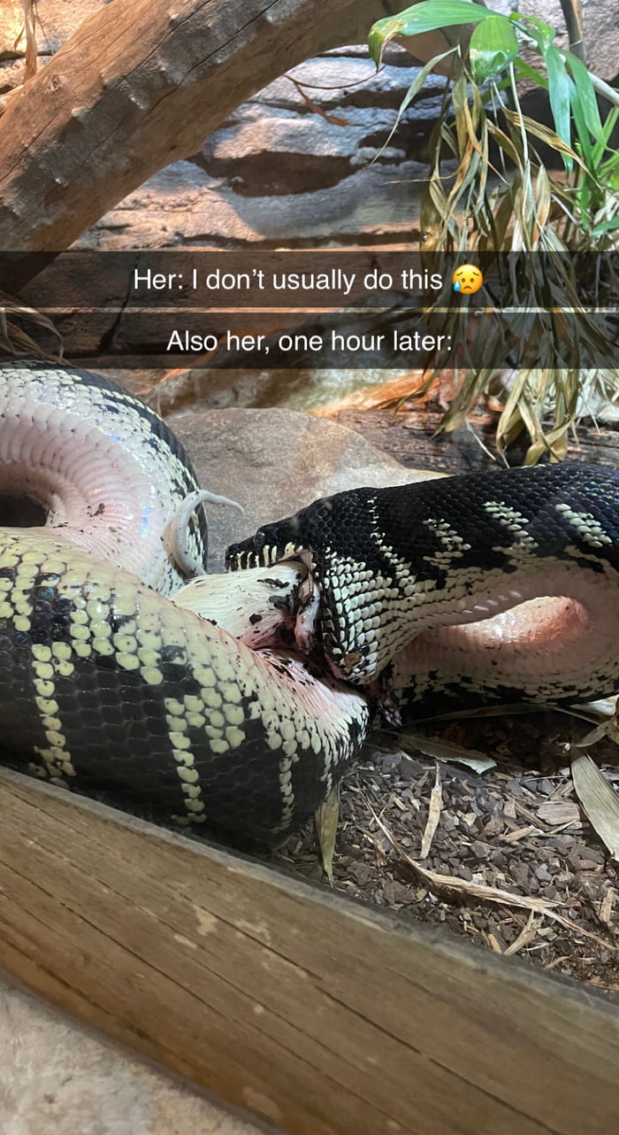 It’s always the same story… - 9GAG