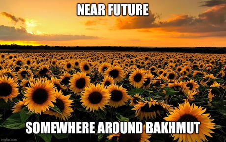 Best Funny sunflower Memes - 9GAG