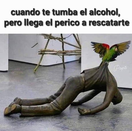 Memes Del Perico