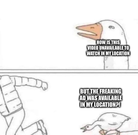 Best Funny goose Memes - 9GAG