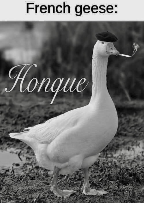 French goose - 9GAG