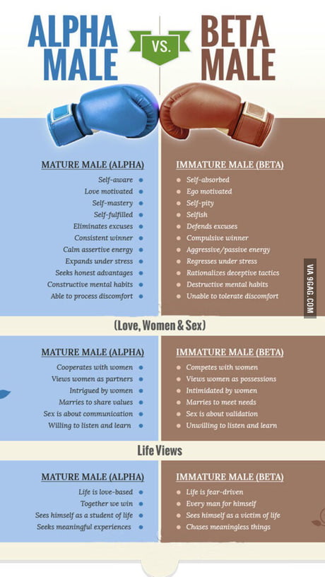 Difference Between Alpha Male and Beta Male🐆 Venture-se nas apostas ...
