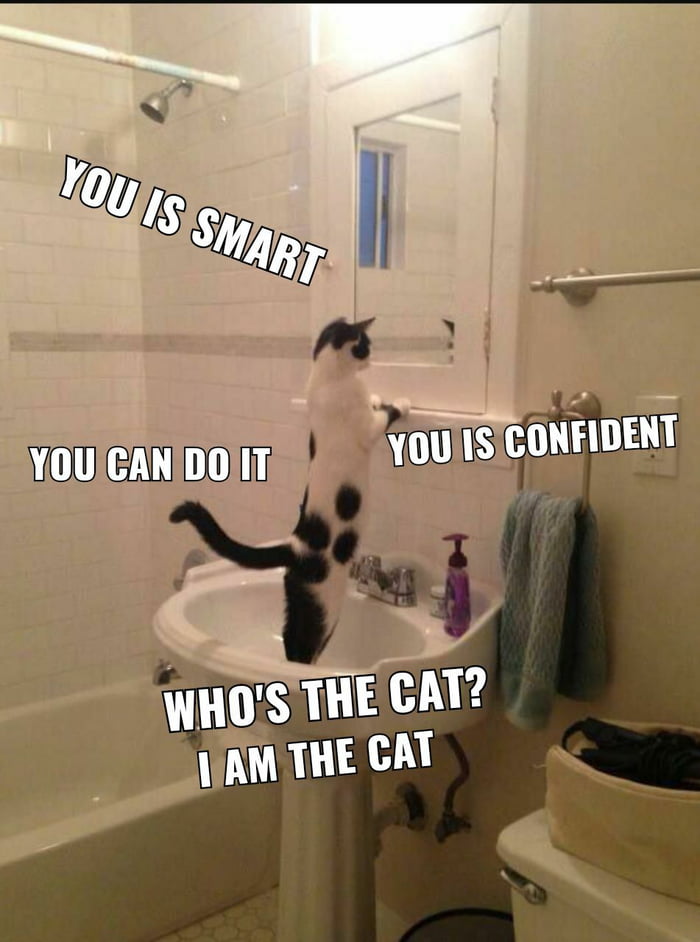 The self-esteem cat is passing by your timeline. Good winds and ...