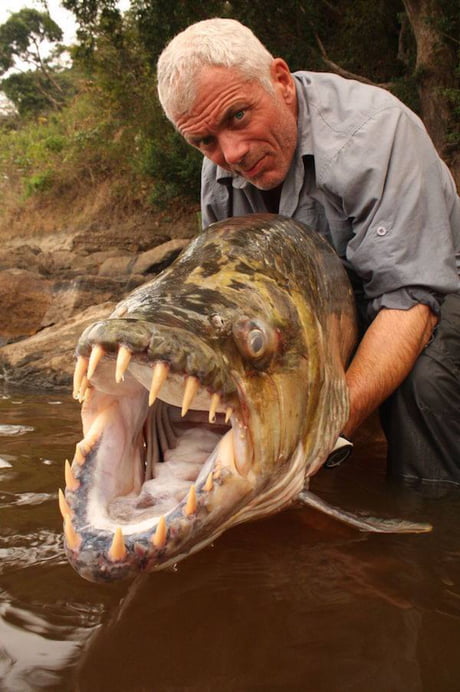 Best Funny jeremy wade Memes - 9GAG