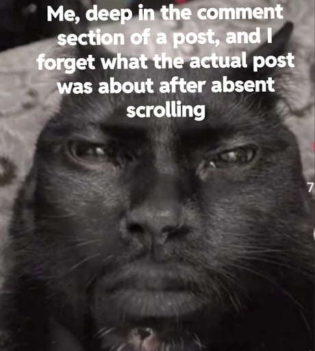 Best Funny comment section Memes - 9GAG