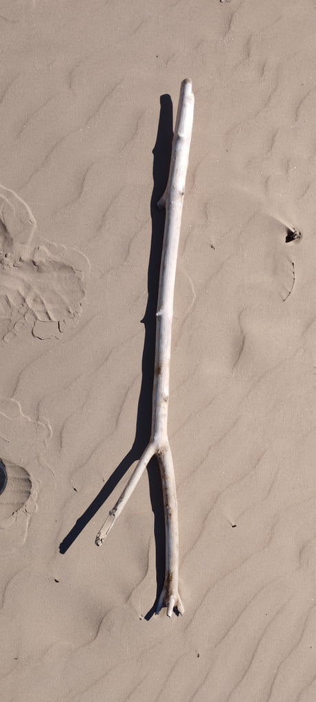 Best Funny Rate My Stick Memes 9gag