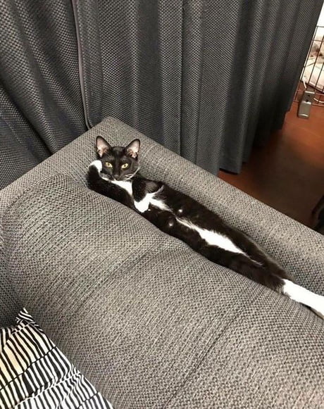 Best Funny stretch Memes - 9GAG
