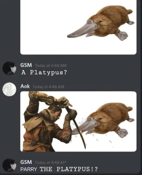 Best Funny parry Memes - 9GAG