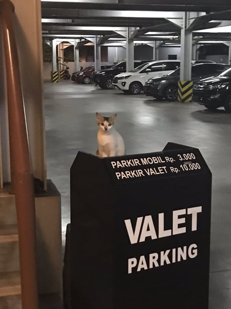 Best Funny parking Memes - 9GAG