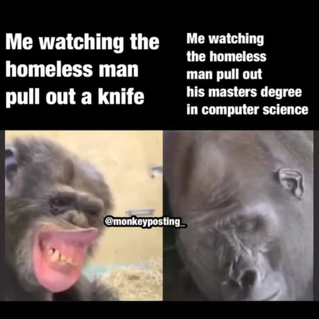 Best Funny monke Memes - 9GAG