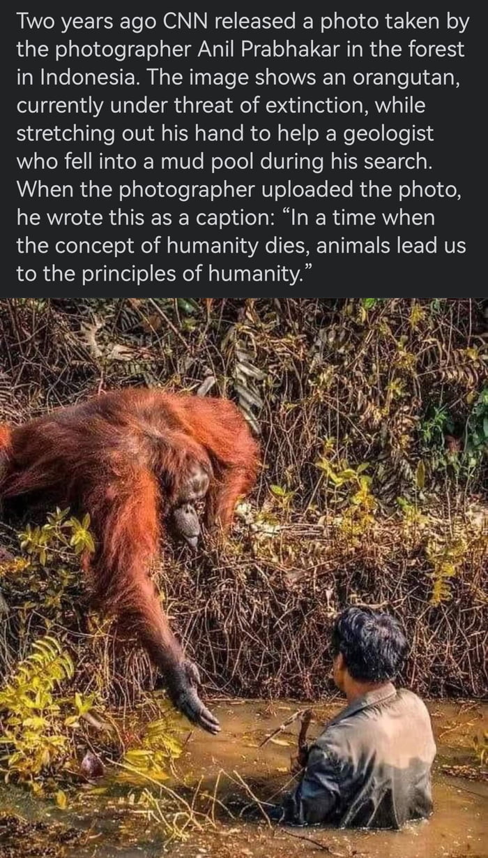 Save humans - 9GAG