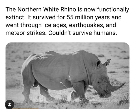 Best Funny rhino Memes - 9GAG