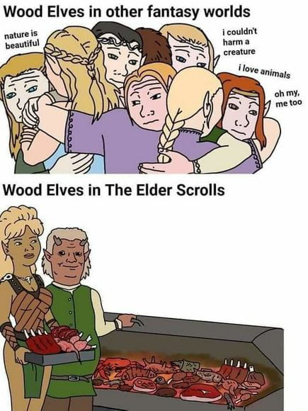 Elder Scrolls Memes