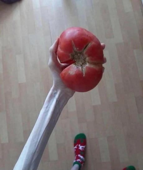 Best Funny block bot Memes - 9GAG