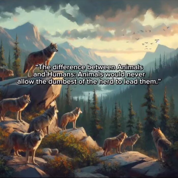 The truth in this statement is undeniable. A pack of wolves knows who ...