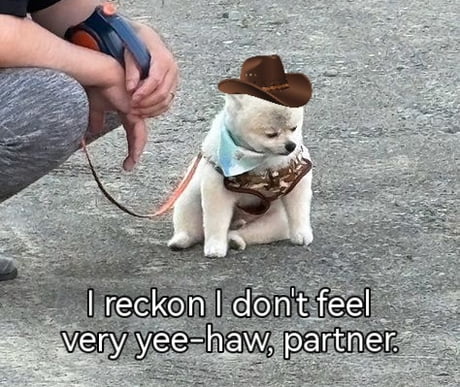 Best Funny cowboy Memes - 9GAG