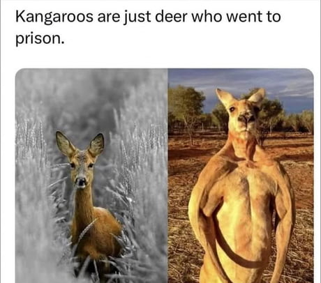 Best Funny buff Memes - 9GAG