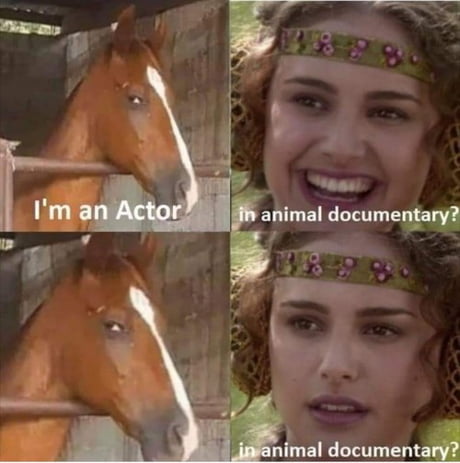Best Funny padm amidala Memes - 9GAG