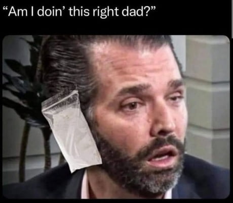 Memes Donald Trump Jr Don Jr & Eric Trump