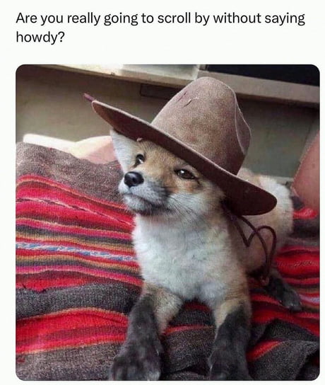 Best Funny howdy Memes - 9GAG