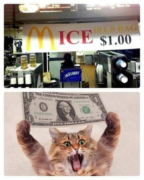 Best Funny burger king Memes - 9GAG