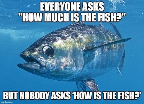 Fish Story Memes