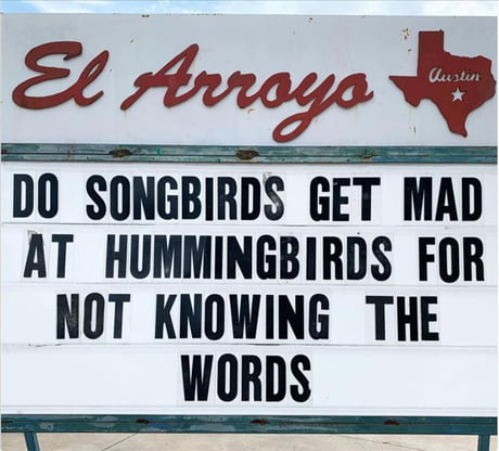 Best Funny hummingbirds Memes - 9GAG