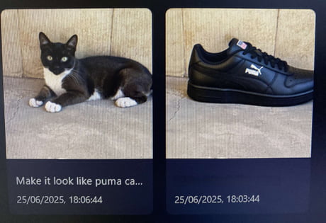 Best Funny puma Memes - 9GAG