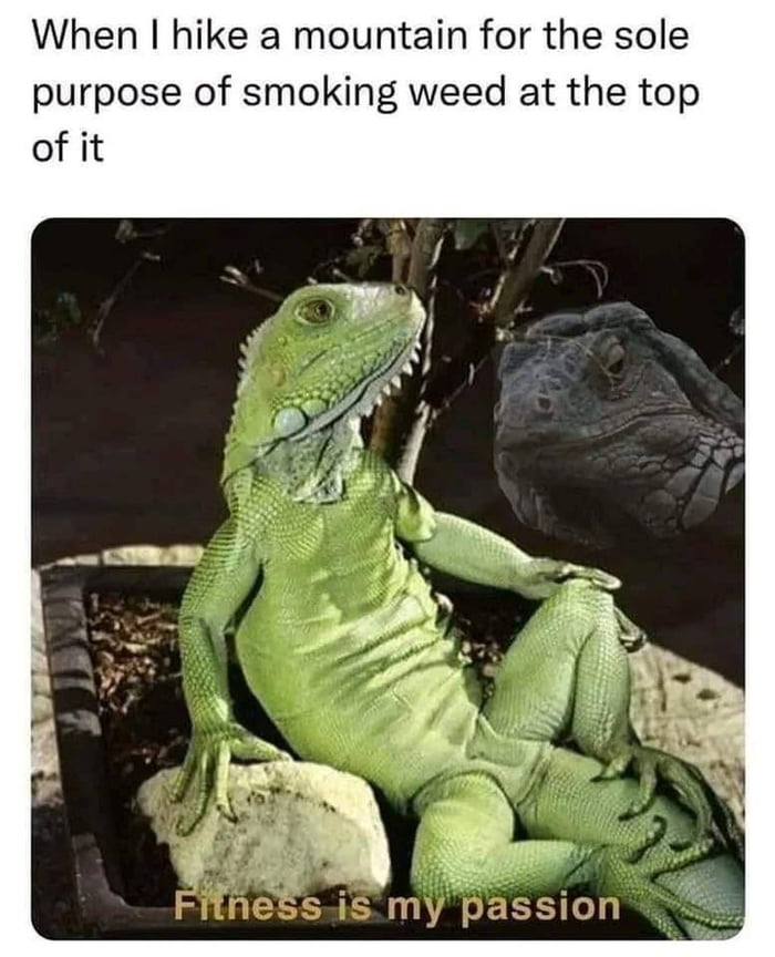 Peak performance achieved - 9GAG