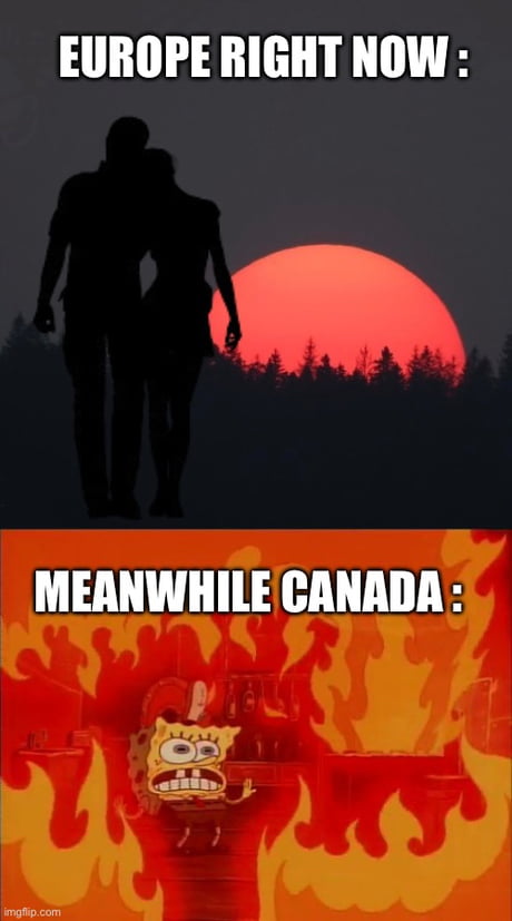 Best Funny wildfire Memes - 9GAG