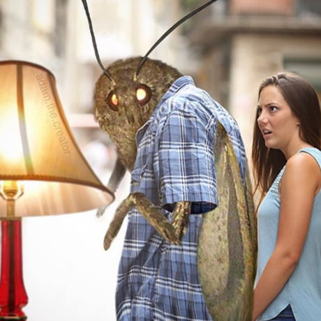 Best Funny lamp Memes - 9GAG
