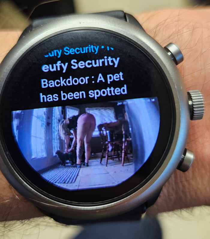 Backdoor has been spotted - security camera - 9GAG