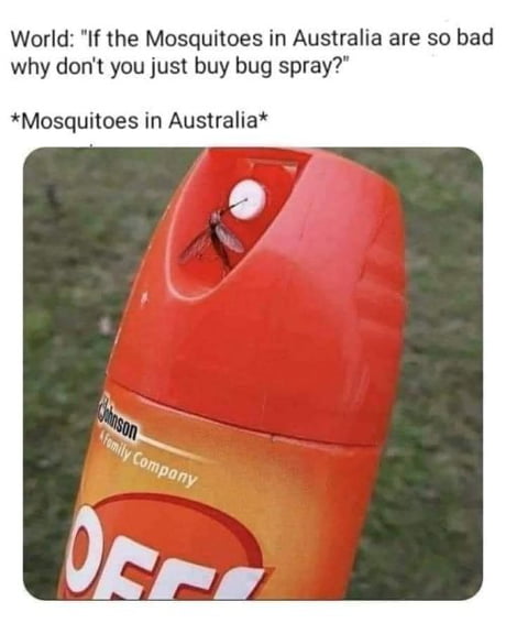 Best Funny mosquito Memes - 9GAG