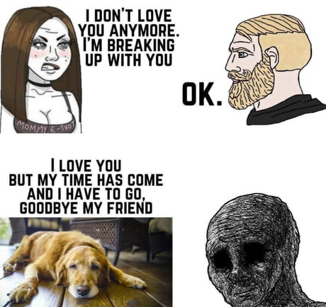 30+ Doggo Memes, GIFs, Videos and more