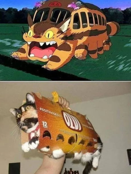 Oispa Kaljaa Memes Oispa Kaljaa Katie Kirby Hörbuch E Book