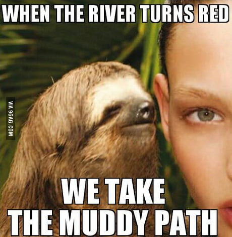 Sloth Creepy Memes The Best Death Memes :) Memedroid