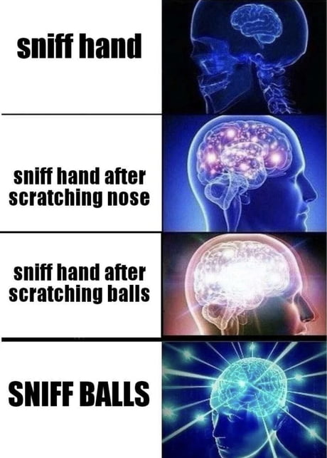 Best Funny balls Memes - 9GAG