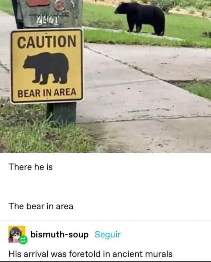 Stating the obvious is next level comedy for some reason. - 9GAG