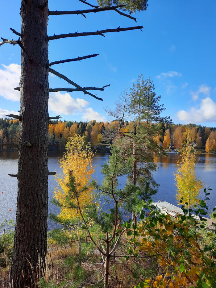 A lovely autumn day in Leppävirta, Finland. - 9GAG