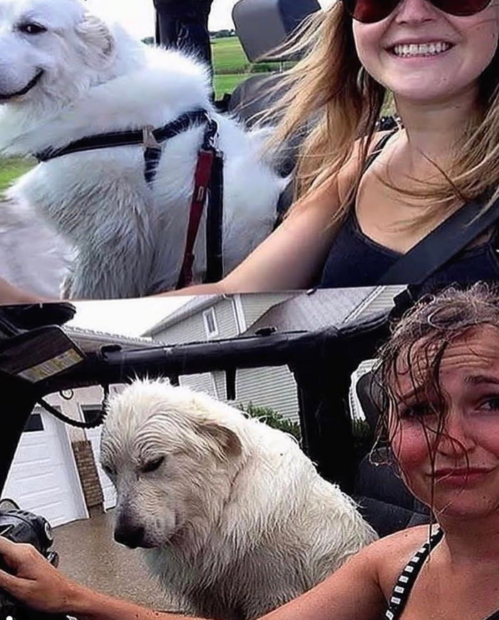 Weather man got it wrong - 9GAG