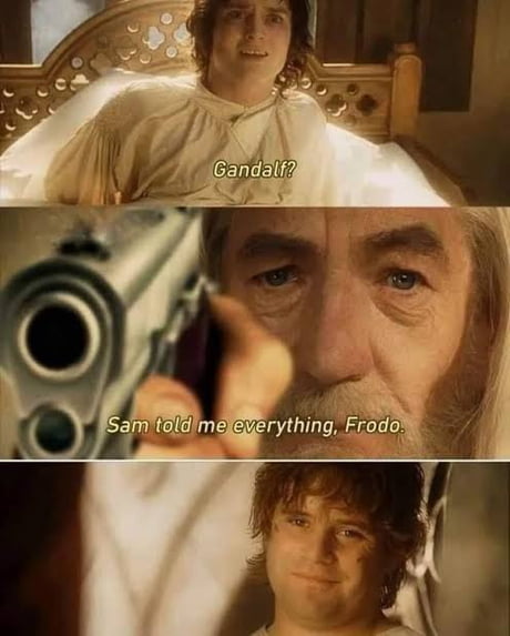 Frodo Meme