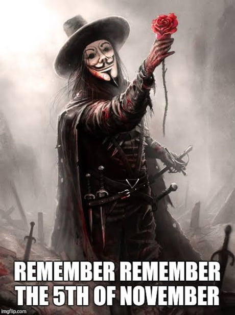 Bonfire Night Memes Tips For Pets On Bonfire Night | BBC The Social