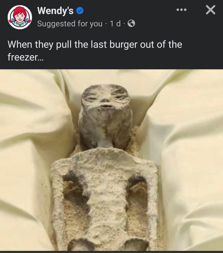 Sloth Meme Wendys