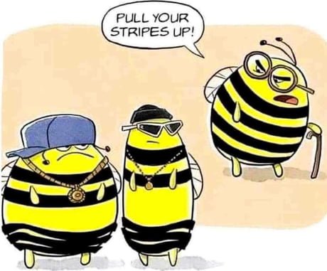 Best Funny bee Memes - 9GAG