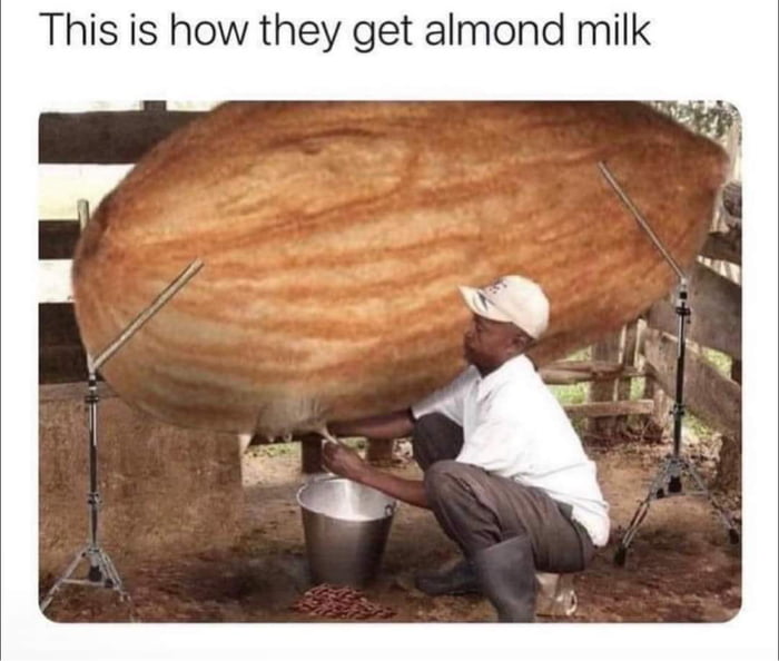 This is nuts! - 9GAG